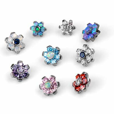 Titanium Internally Threaded Labret