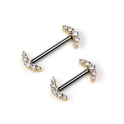 Nipple rings | Nipple jewelry | Nipple barbells