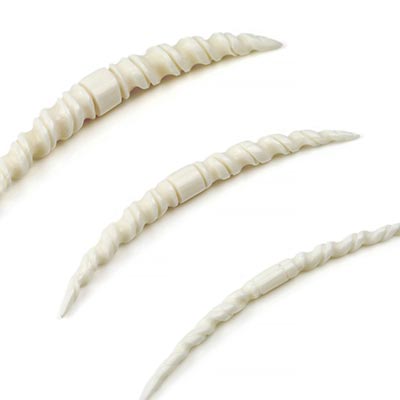 Basic Organic Septum Tusk In Horn Or Bone