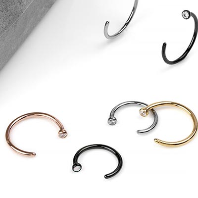 Nose Hoops | Bodyartforms